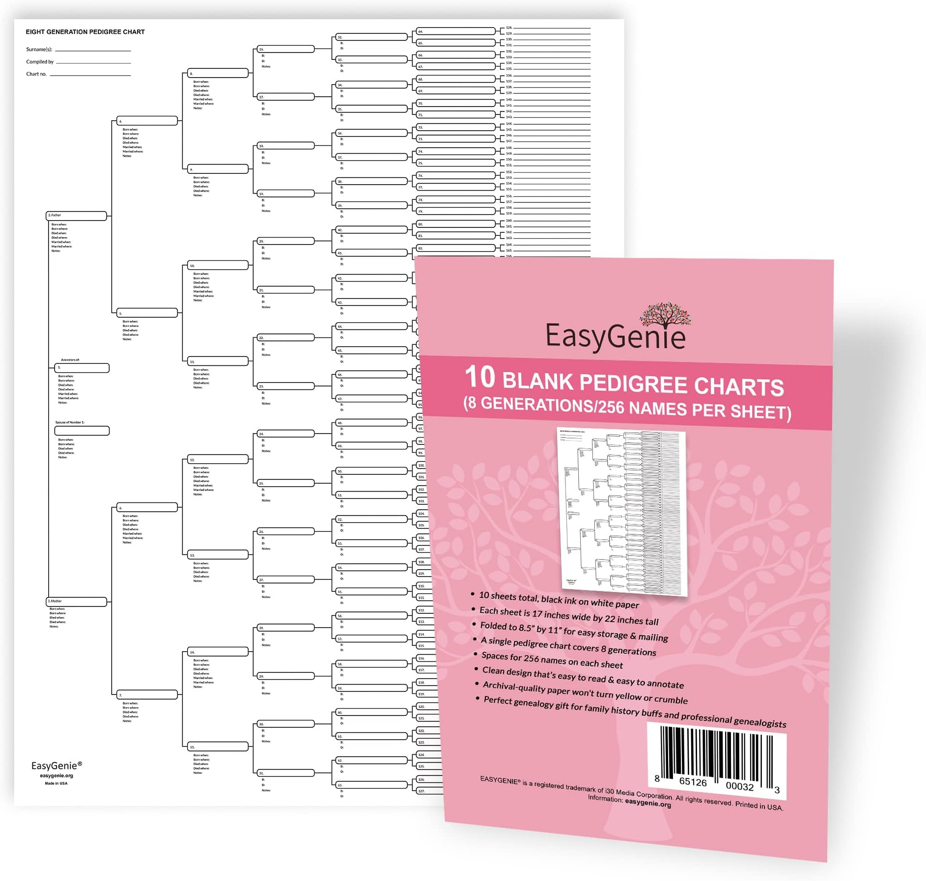 Amazon.com: Family Tree Chart Genealogy : Industrial & Scientific