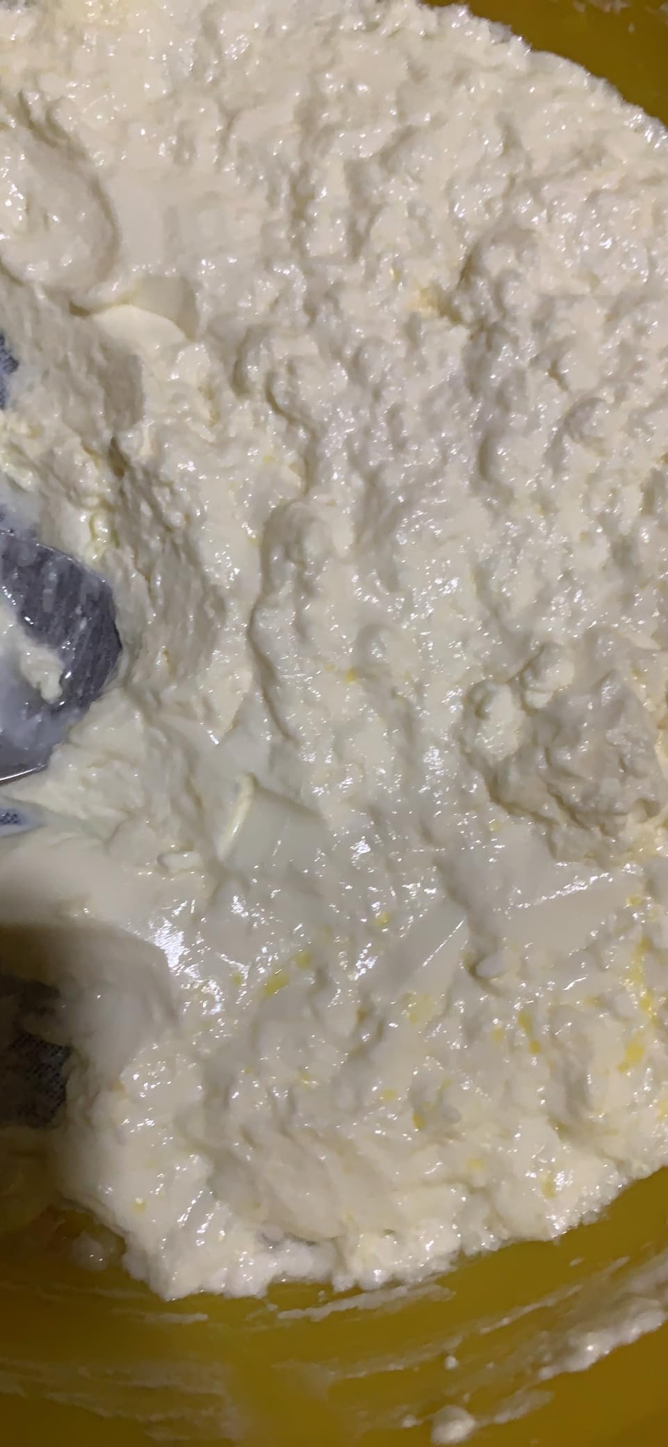 Alla's Posh Flavors Probiotic Artisanal Curd Starter Culture | 100% Veg ...