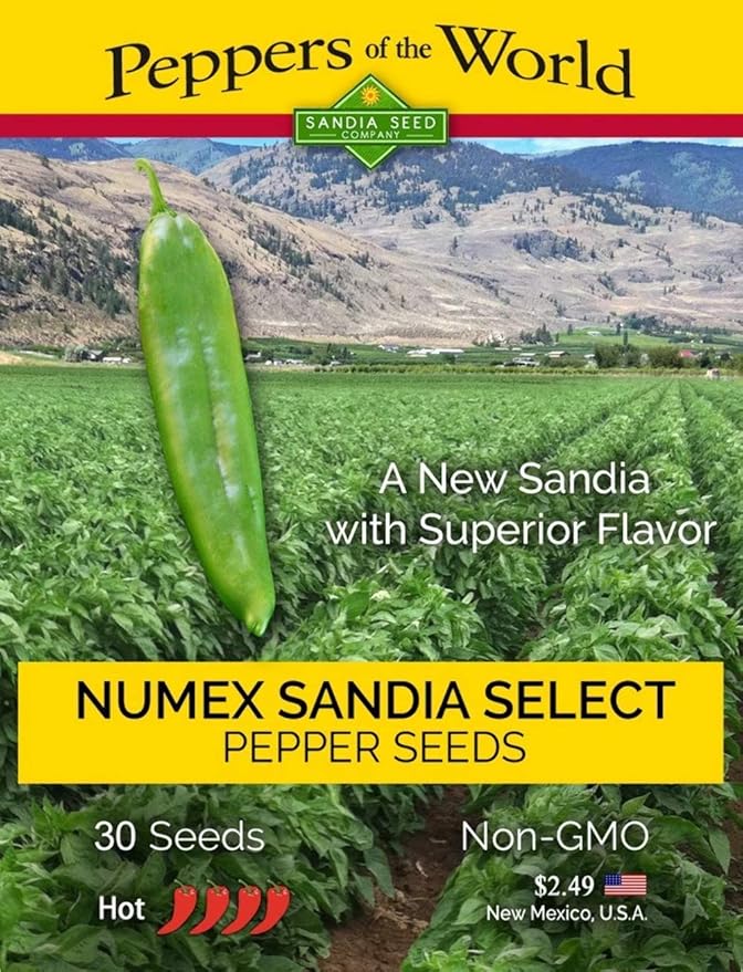 Amazon.com : Sandia Select NuMex Pepper Seeds - Green Chile with Superb ...