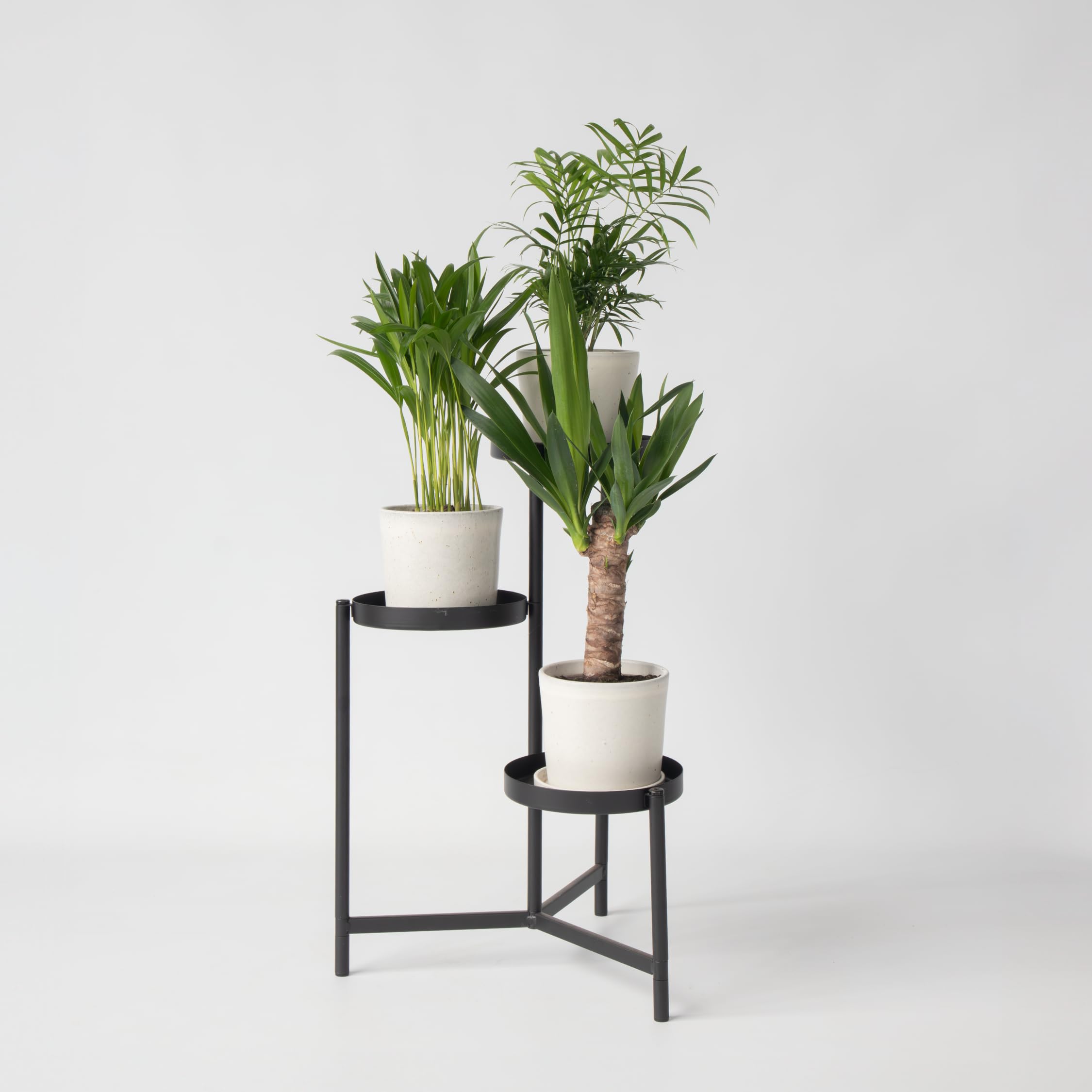 Palm Tree Indoor Plant Stand