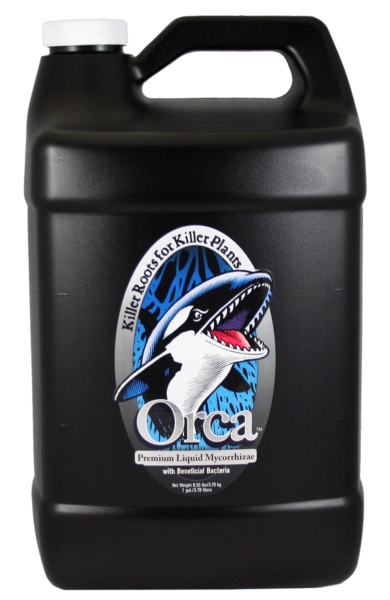 Amazon.com : Orca Liquid Mycorrhizae Gallon : Patio, Lawn & Garden