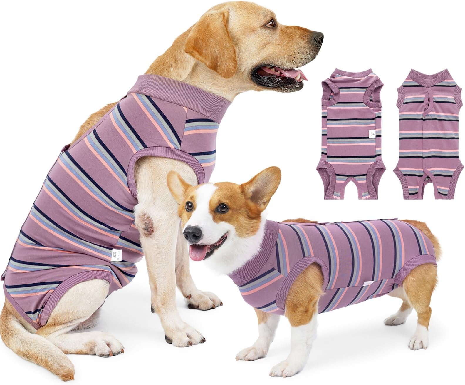 Amazon.com: Dog Recovery Suit Dog Surgery Recovery Suit Female, Dog ...