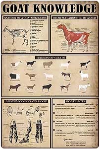 Amazon.com: Goat Knowledge Metal Tin Signs Goat Infographic Retro ...