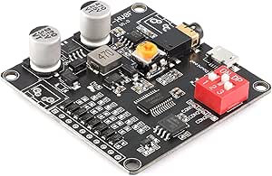 Amazon.com: JESSINIE DY-HV8F Voice Playback Module 12V 24V 20W Voice ...