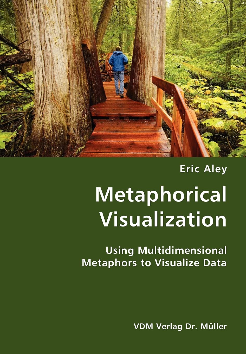 Buy Metaphorical Visualization- Using Multidimensional Metaphors to ...