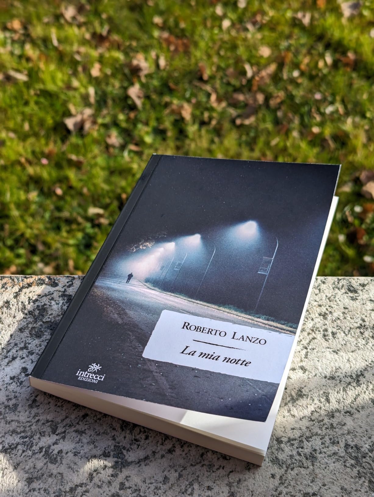 La mia notte : Lanzo, Roberto: Amazon.it: Libri