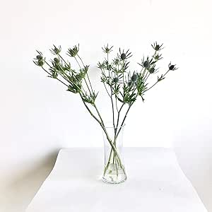 Amazon.com: Banderines de color azul, Azul : Hogar y Cocina