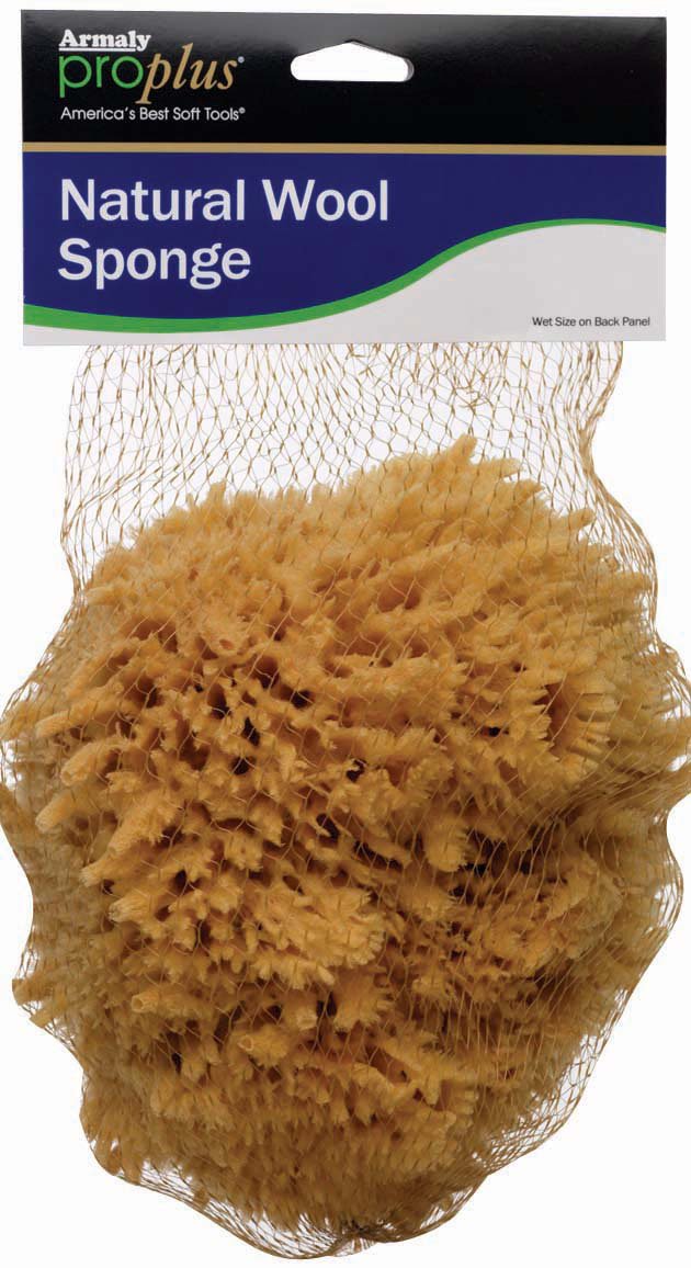 Amazon.com: ProPlus 6-Inch Wool Sponge : Health & Household