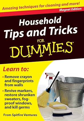 Amazon | Household Tips and Tricks for Dummies Refrigerator Magnet ...