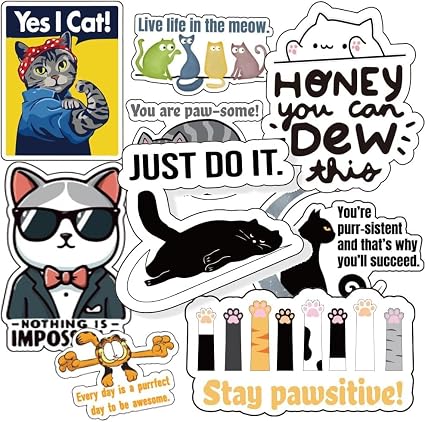 Amazon.com: Motivational Cat Stickers for Students & Teachers, Funny ...