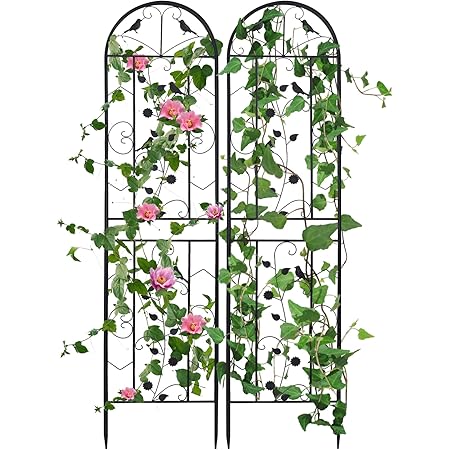 Amazon.com : Panacea 84401 Scroll Trellises, Black, 72" H, Pack of 2 ...