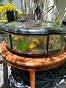 Amazon.com : Roamwild Pop Up Pond – Transparent Garden Water Feature ...