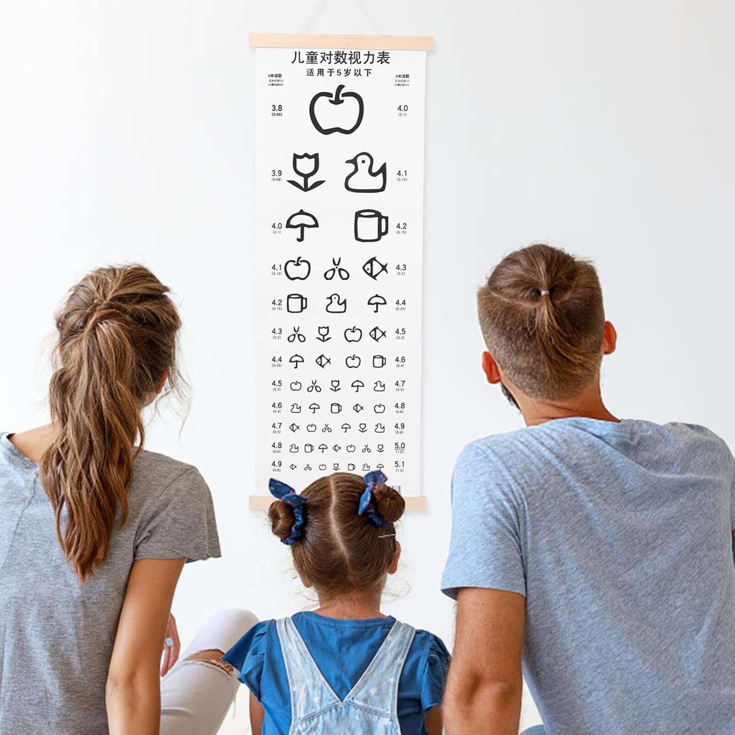Visual Testing Chart 1 Set Snellen Eye Chart Barbados | Ubuy