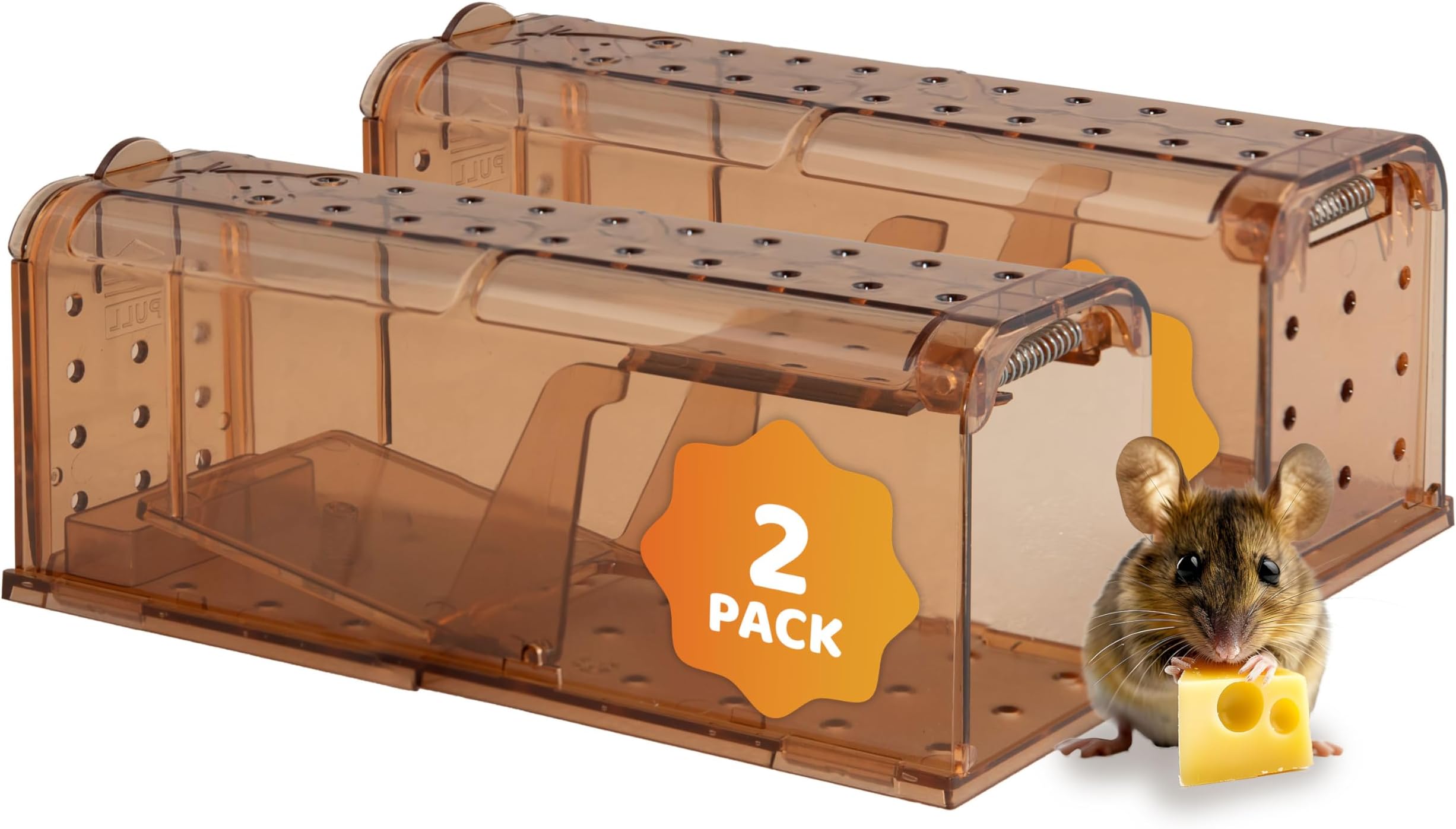 Amazon.com : Mice Cube Reusable Humane Mouse Trap 4 Pack : Rodent Traps ...