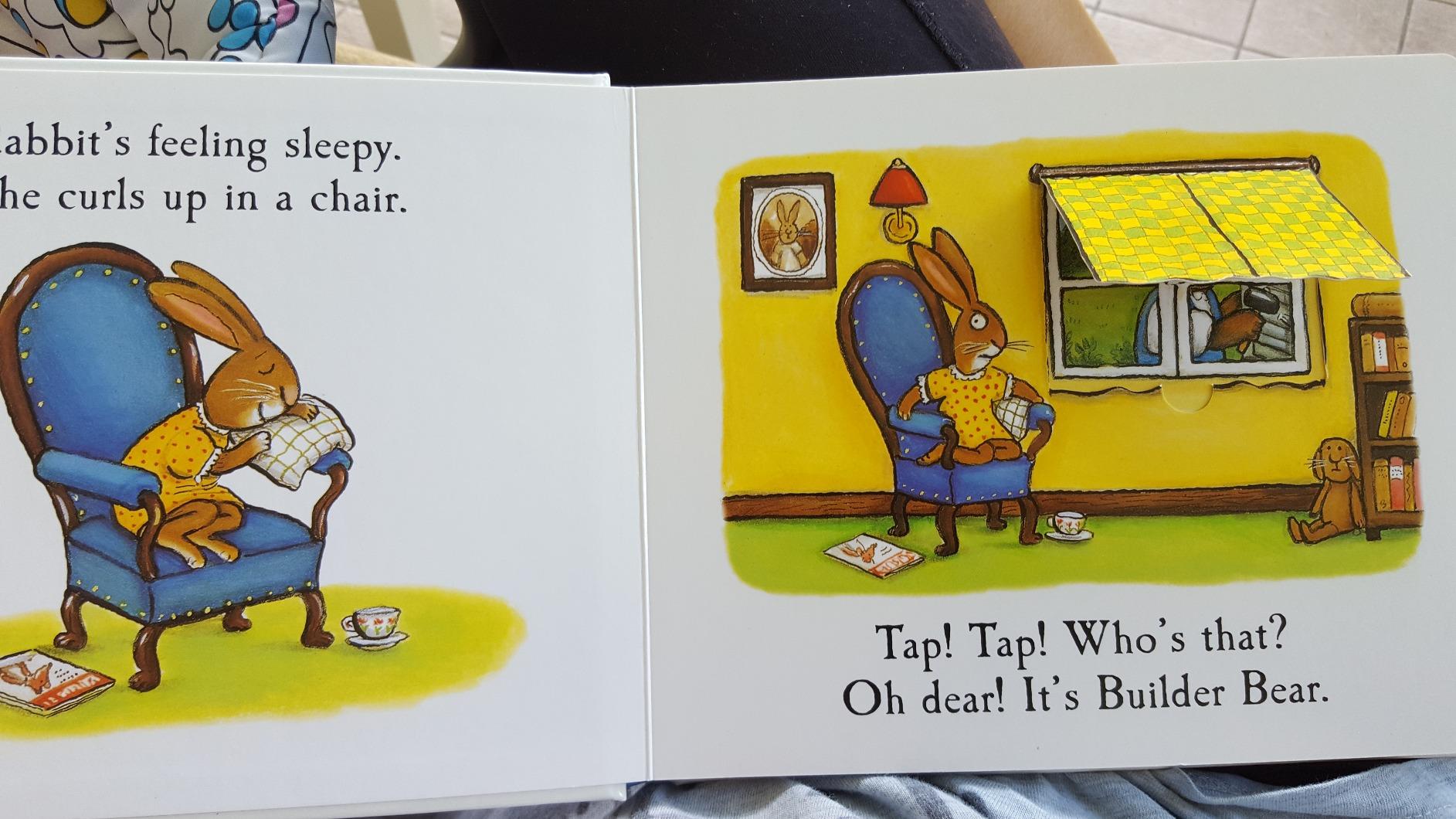 Rabbit's Nap: A Lift-the-flap Book: The perfect lift-the-flap book for ...