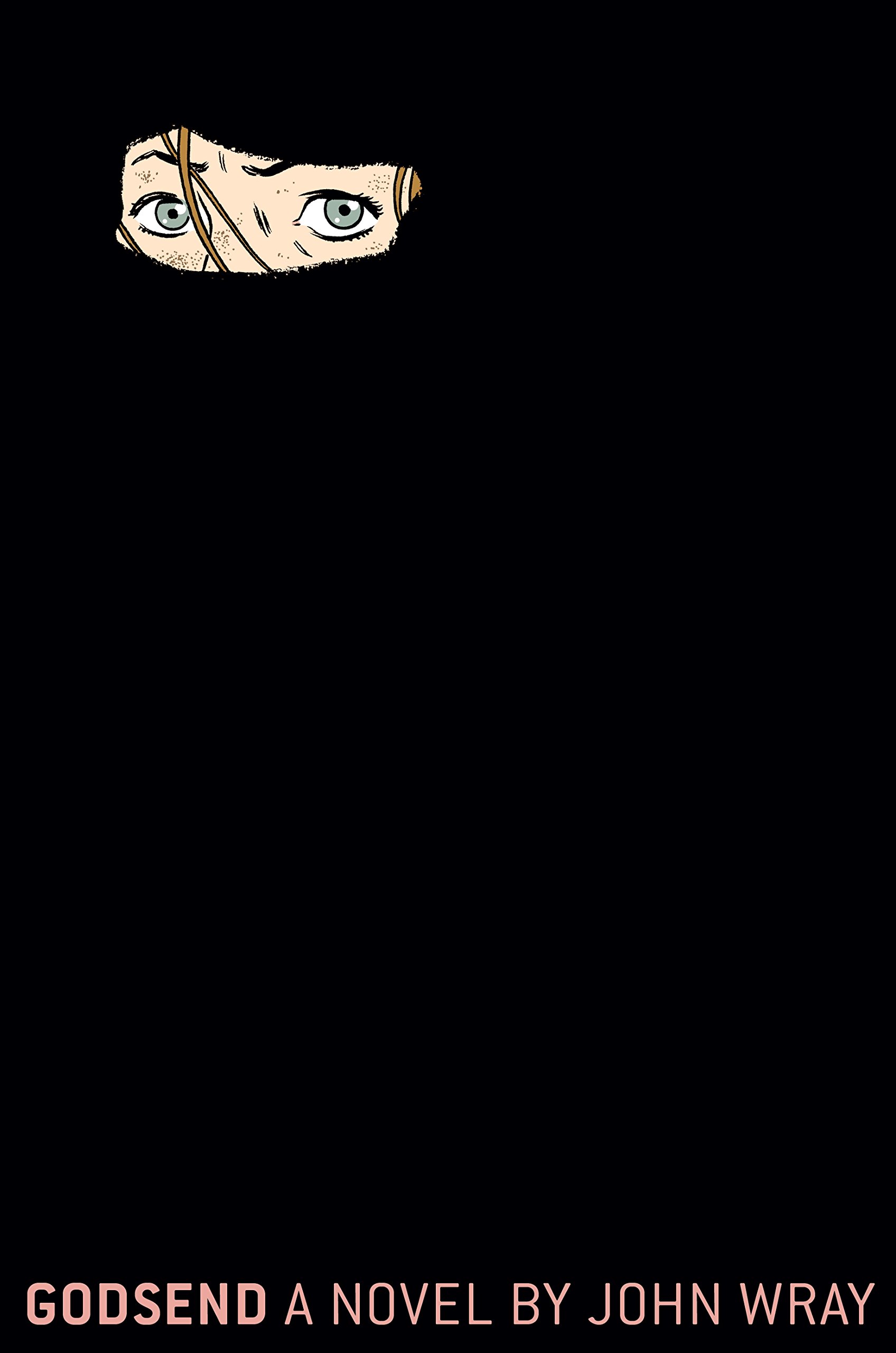 Godsend: A Novel: Wray, John: 9780374164706: Amazon.com: Books