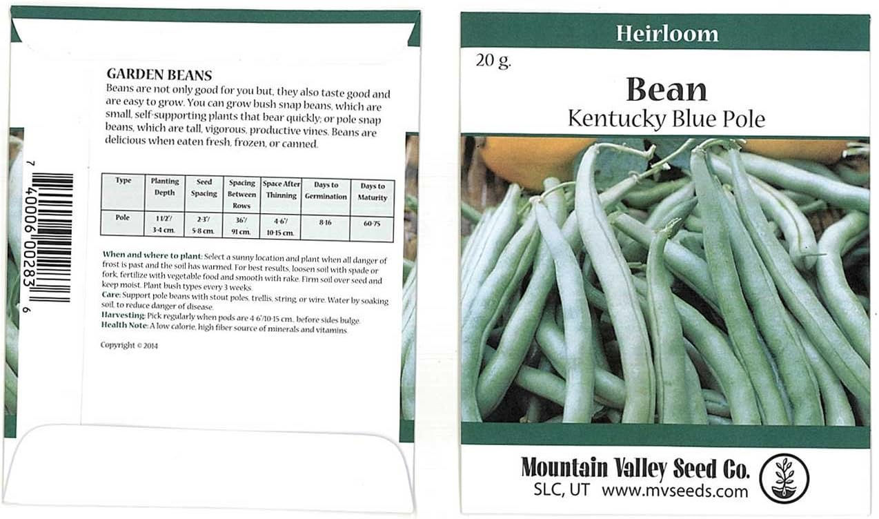 Amazon.com : Kentucky Blue Pole Bean Seeds - 25 Gram Packet - Non-GMO ...