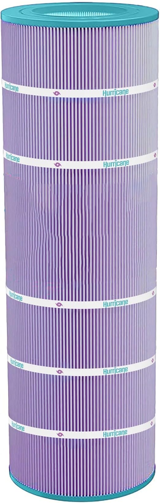 Amazon.com : Hurricane Filters - HF9415-01P Platinum Purple Pool Filter ...