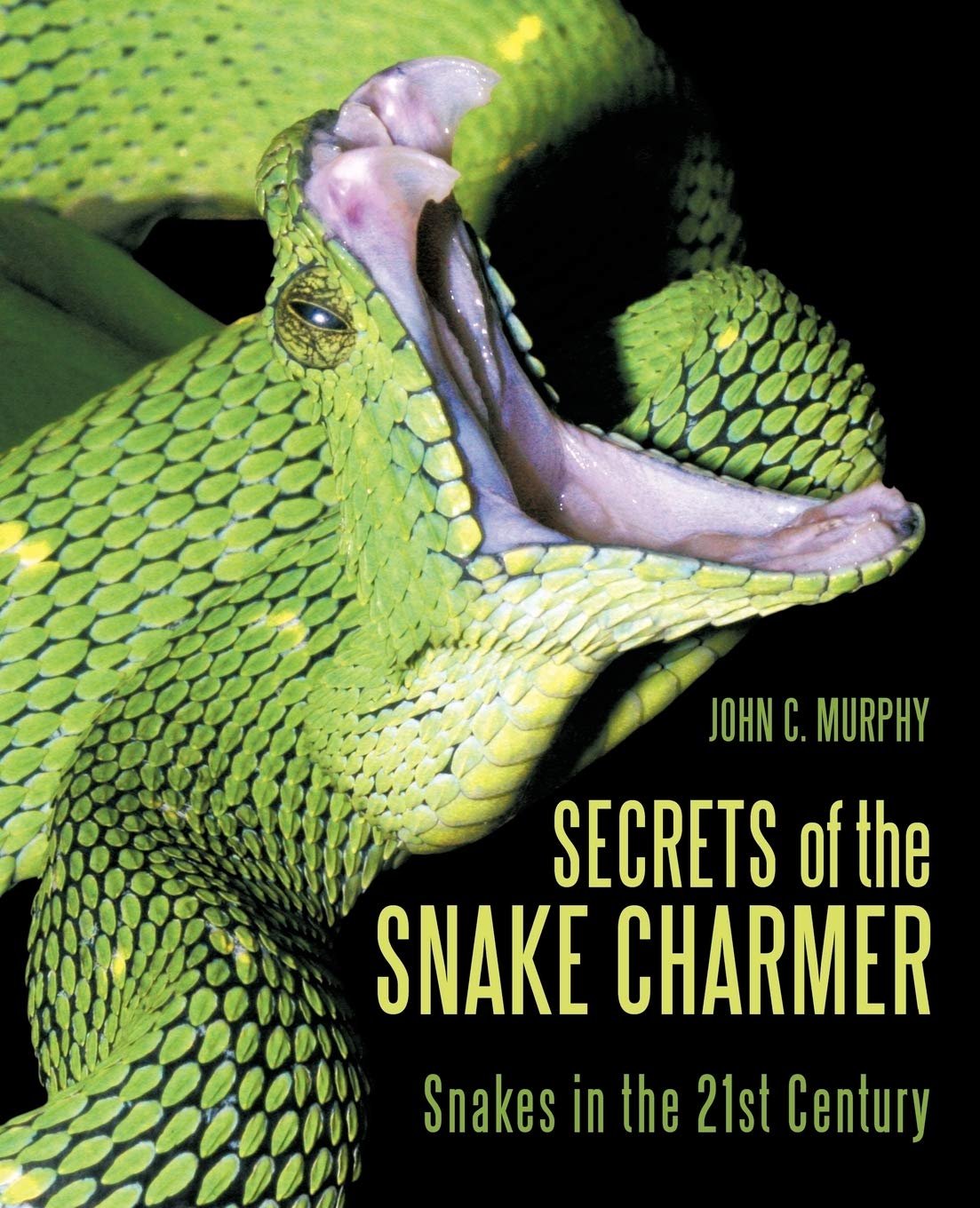 Secrets of the Snake Charmer: Snakes in the 21st Century: Murphy, John ...