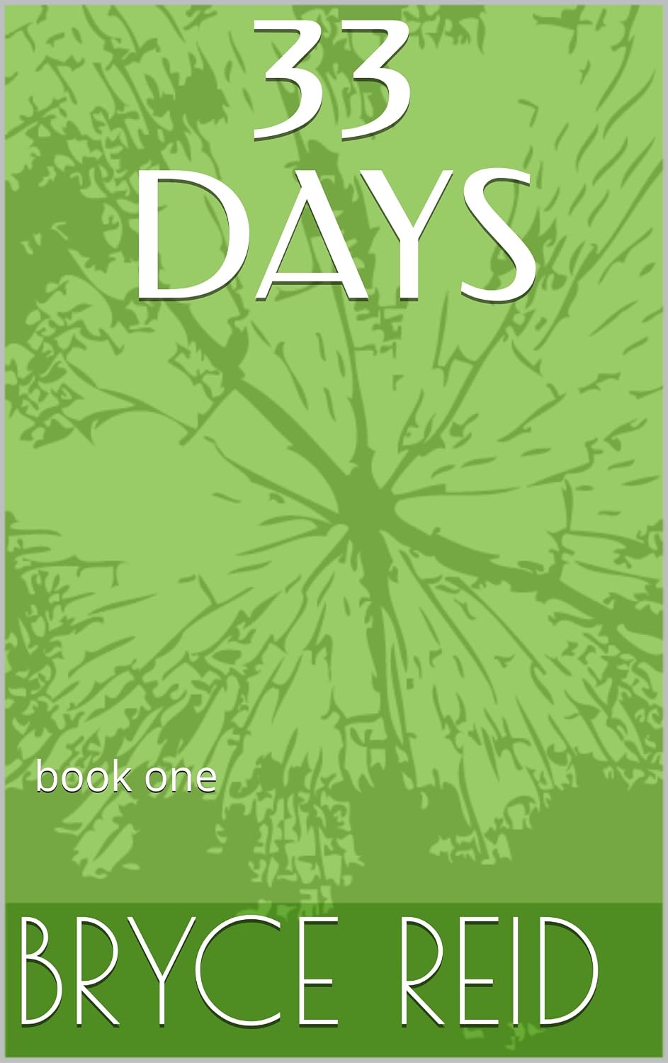 33 DAYS: book one (33 Days | Thomas Simmons Mysteries 1) - Kindle ...
