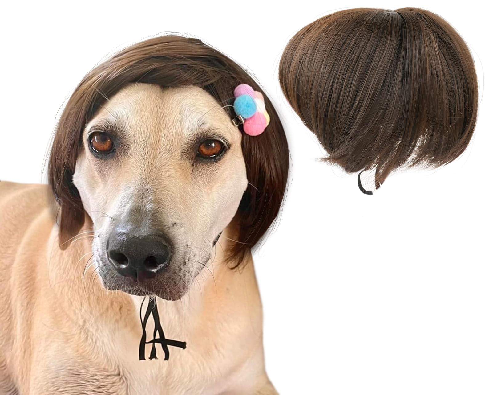 ds. distinctive style Dog Wig for Small and Medium Breeds Trimmable Pet ...