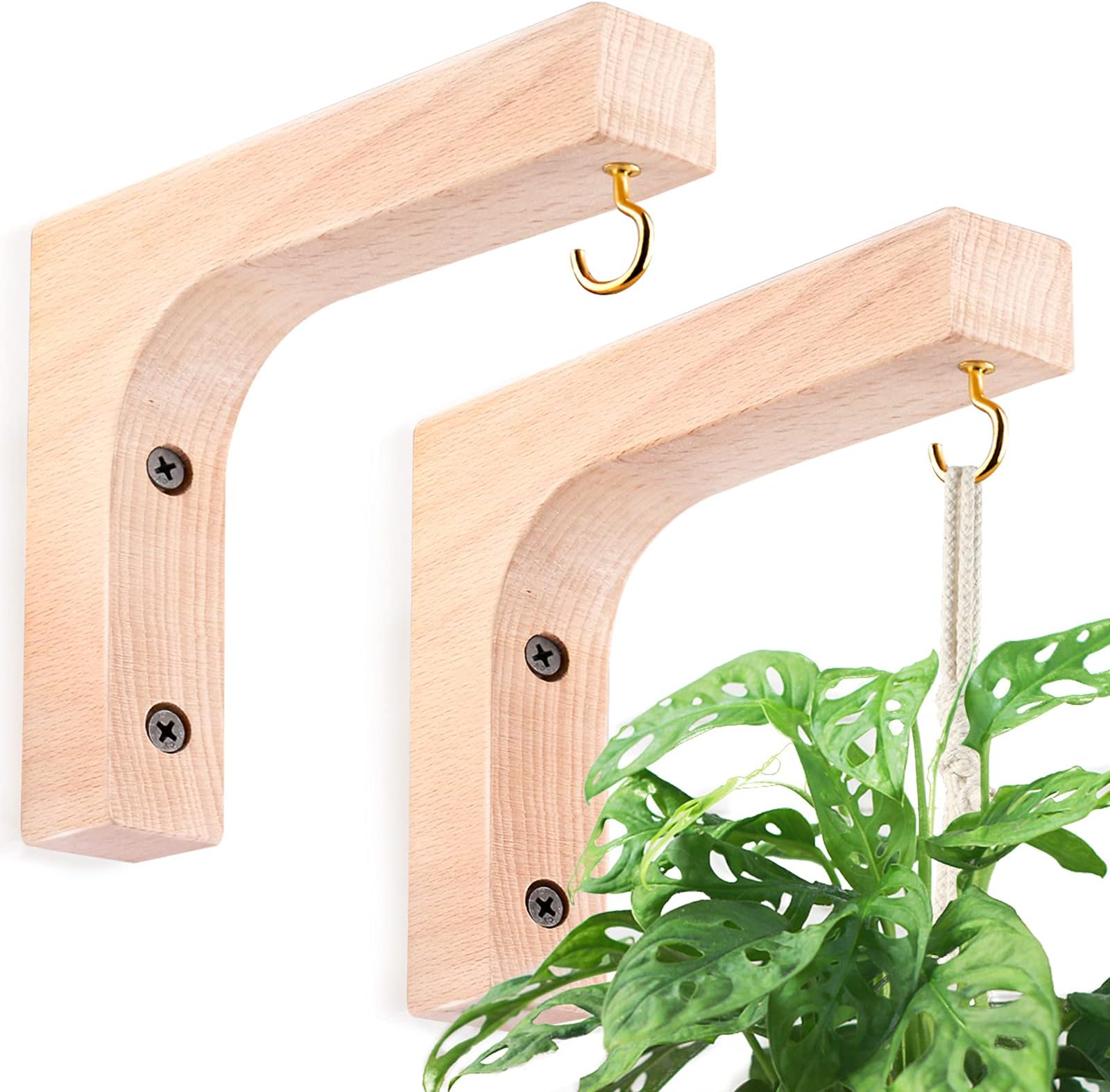 Amazon.com: Wood Plant Hangers Indoors Set of 4 Curved Plywood Wall ...
