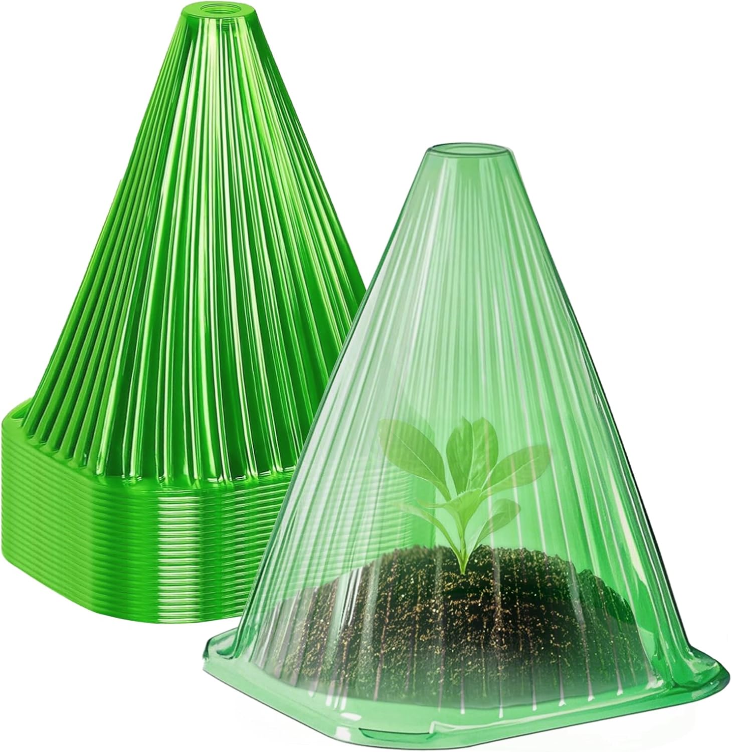 YQBFB 20Pcs Garden Plant Cloches: 22CM x 19CM Reusable Mini Greenhouse ...