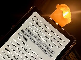 Little Stranger: A Dark Taboo Romance (The Web of Silence Duet Book 1 ...