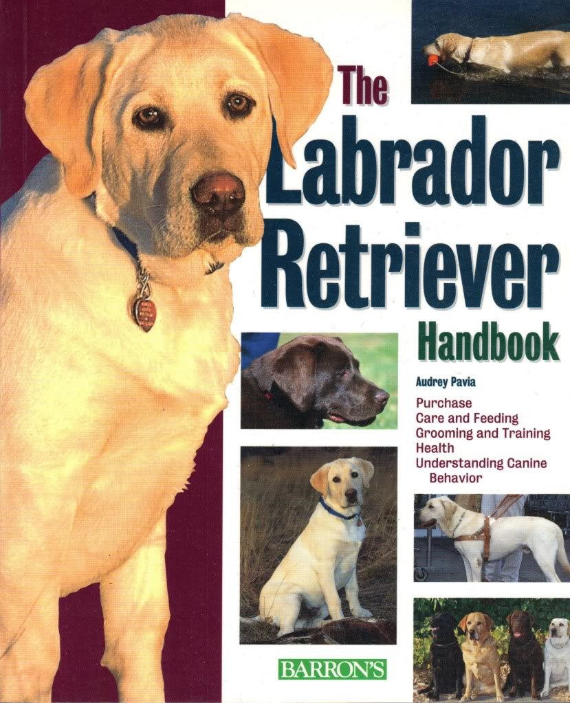 The Labrador Retriever Handbook (Barron's Pet Handbooks): Pavia, Audrey ...