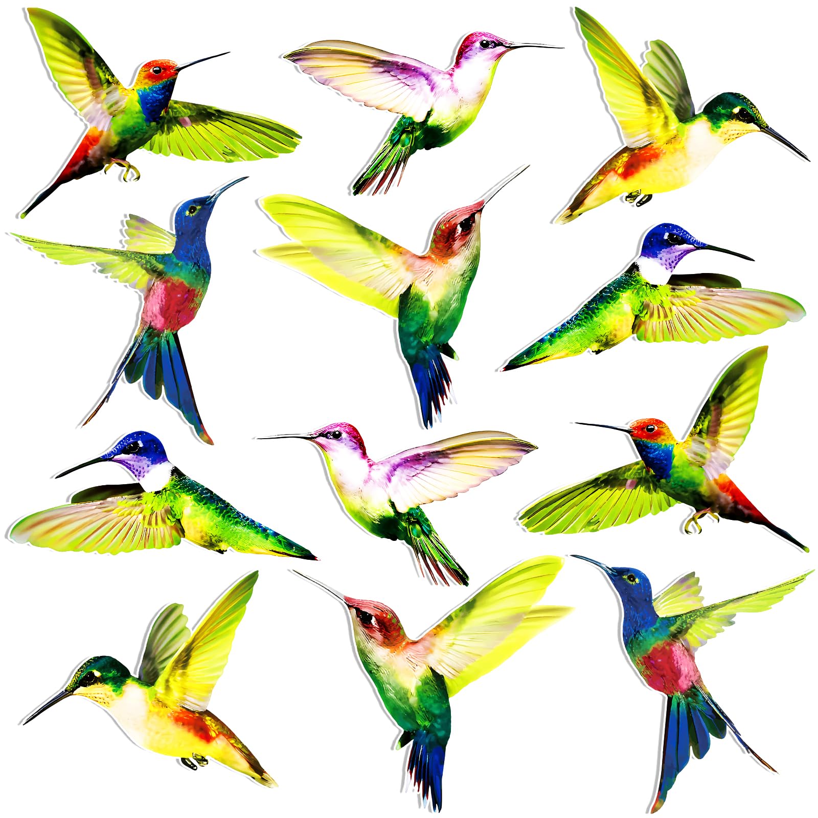 Amazon.com: RUMIA 12 Pcs Hummingbird Refrigerator Magnets Spring Summer ...
