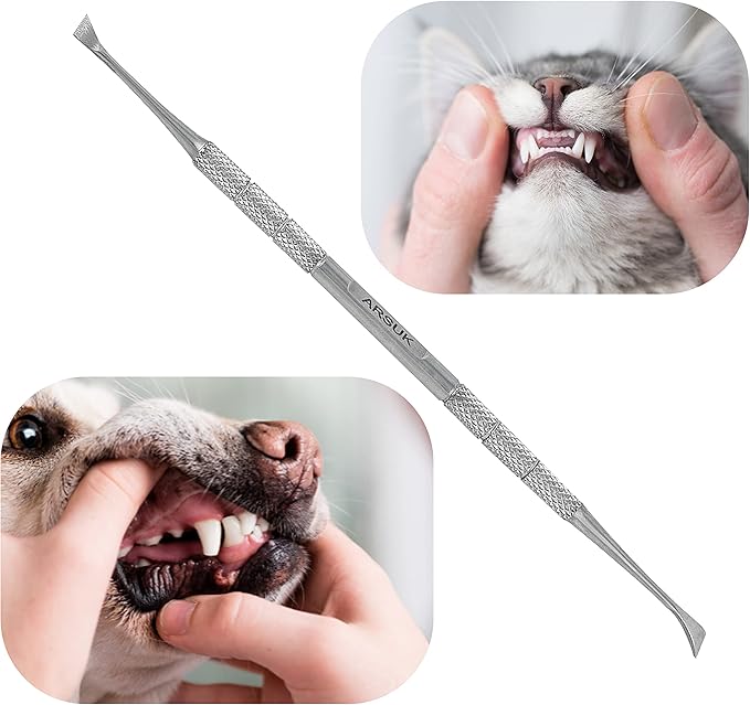 Amazon.com : ARSUK Pet Dental Tooth Scaler Teeth Cleaning Tool, Dog ...