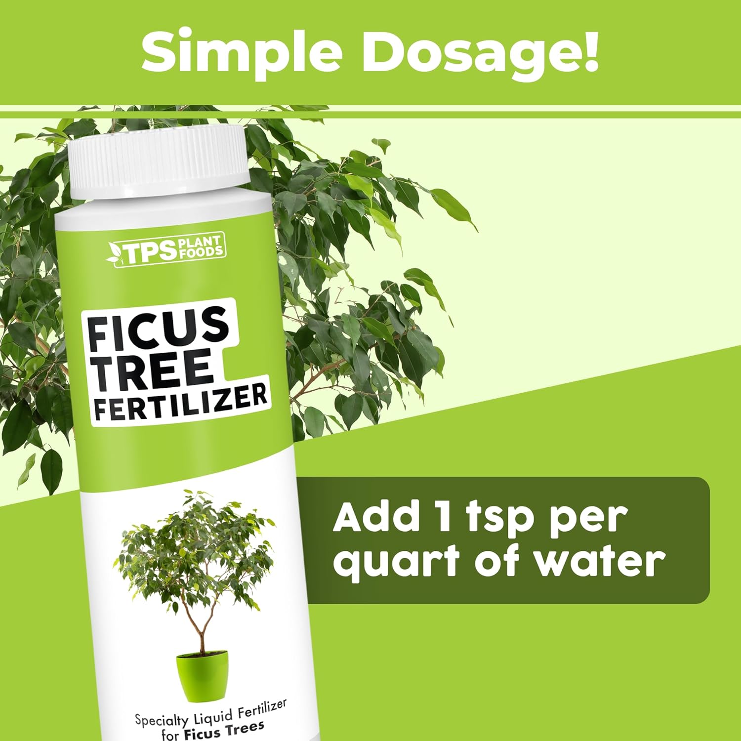 Ficus Tree Fertilizer for All Ficus, Fig and Philippines | Ubuy