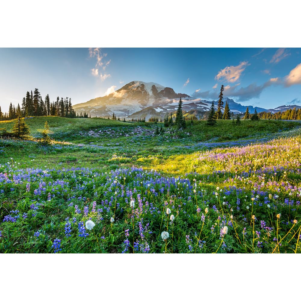 Amazon.com: MISITU Jigsaw Puzzles 1000 Pieces for Adults Mini Puzzles ...