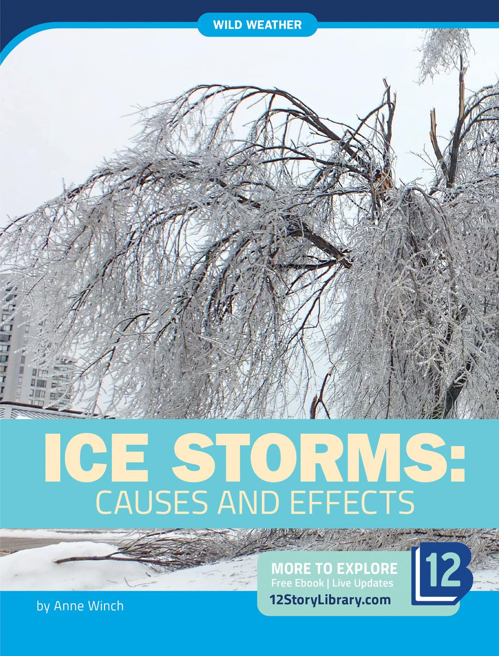 Ice Storms: Causes and Effects (Wild Weather): Winch, Anne ...