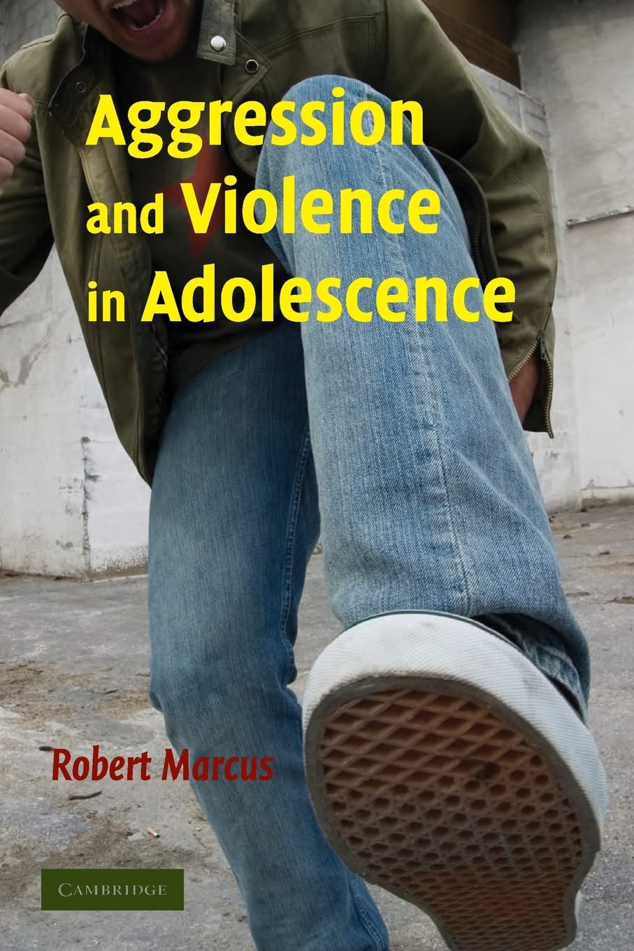 Amazon.com: Aggression and Violence in Adolescence: 9780521688918 ...