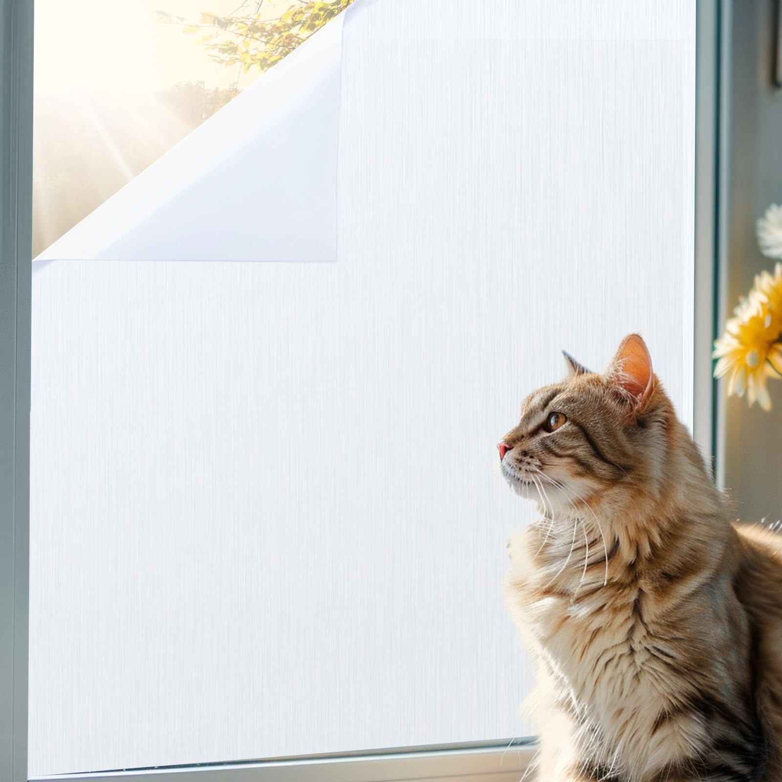 Snapklik.com : Coavas Window Privacy Film Static Cling, Non-Adhesive ...