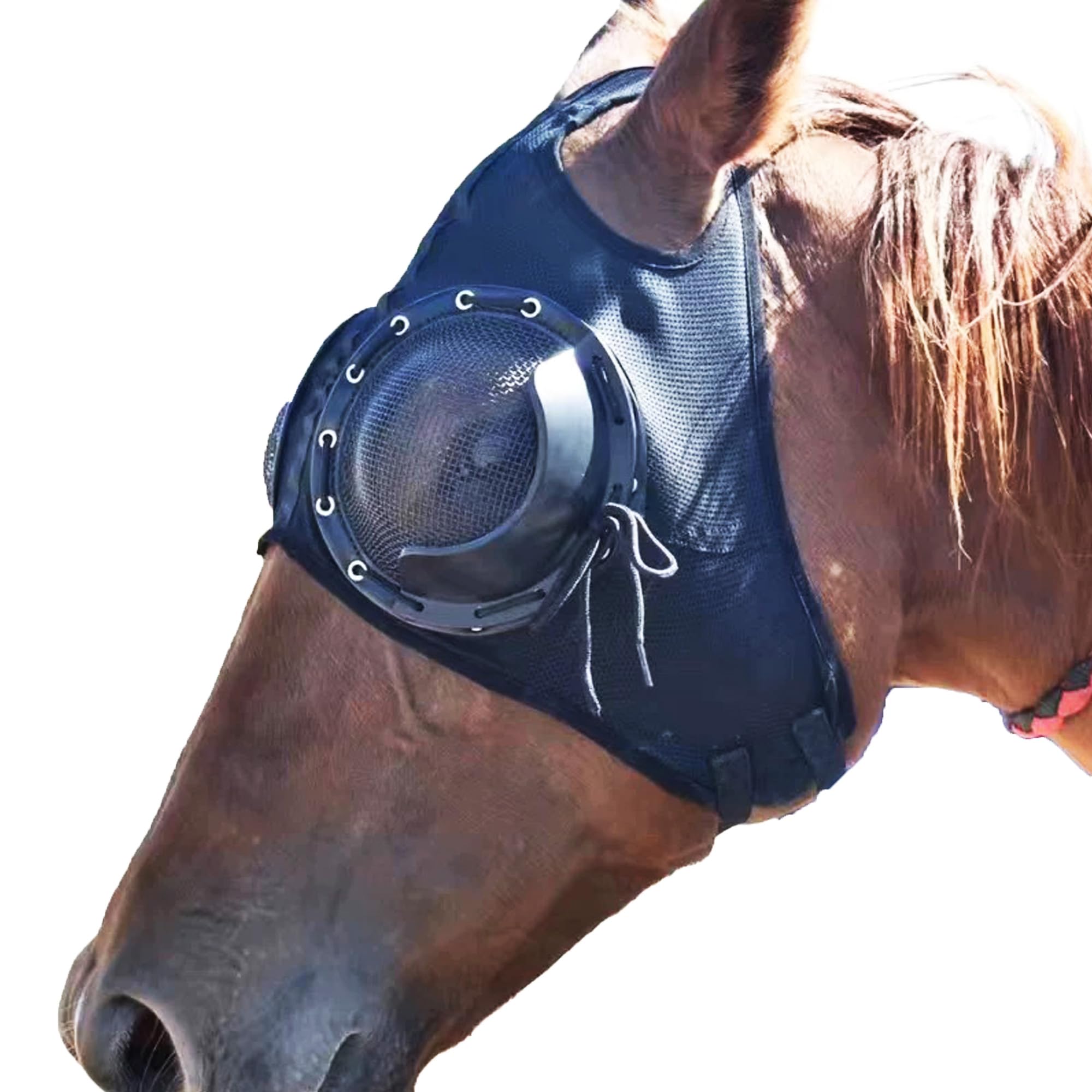 Horse Blinders Why We Don't Use Blinders Or Blinkers With Our