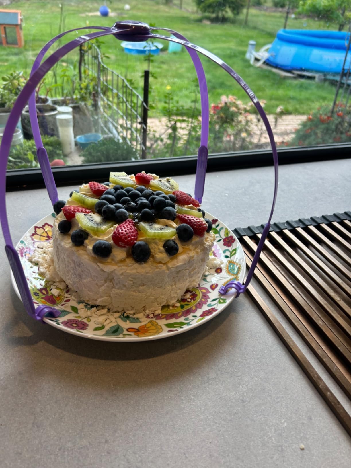 Cake Saver Purple : Amazon.com.au: Kitchen & Dining