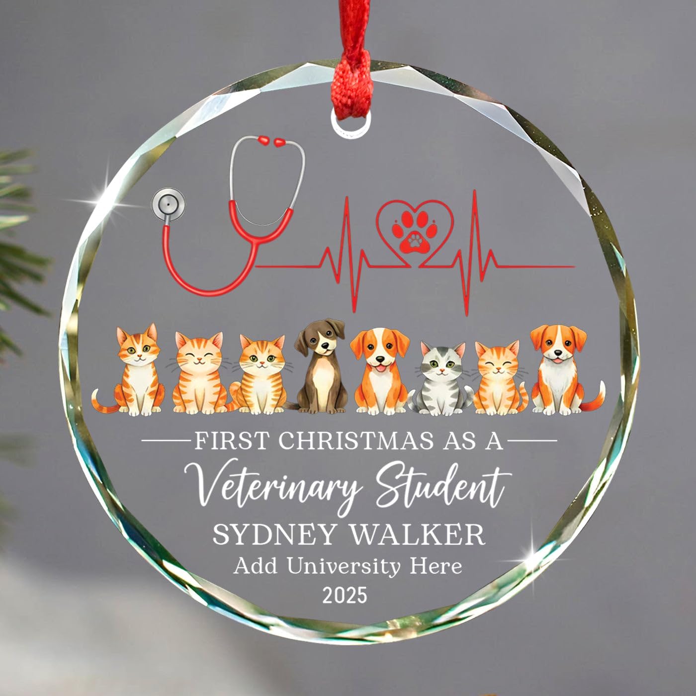 Amazon.com: Veterinary Student Glass Ornament 2025, Personalized First ...