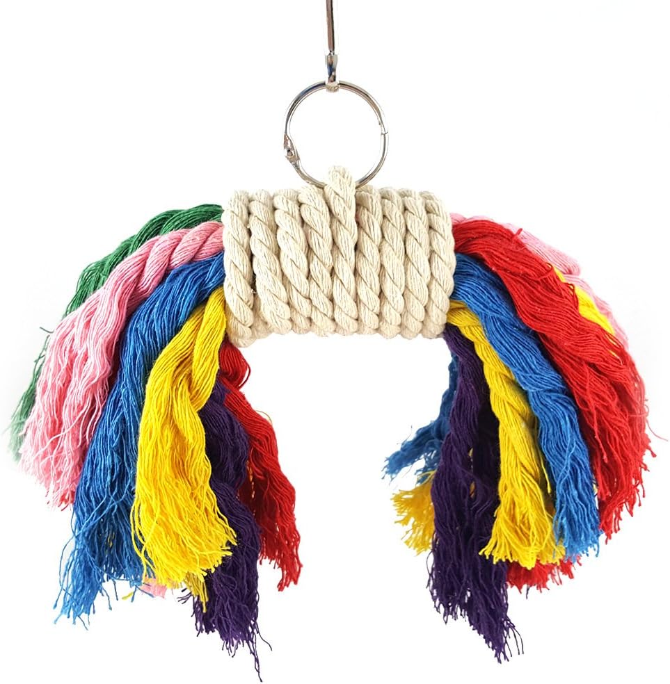Amazon.com : Rypet Parrot Colorful Rope Toy - Perfect Bird Cage Toy for ...