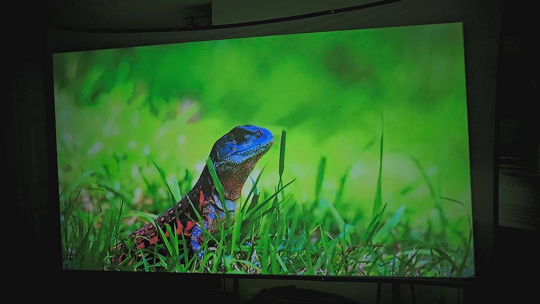 $25/mo - Finance 【Electric-Focus】Mini Projector, TOPTRO TR25 Outdoor ...