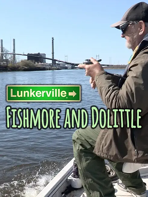 The Wild Cats Of Connecticut: A Closer Look At The State's Feline ...