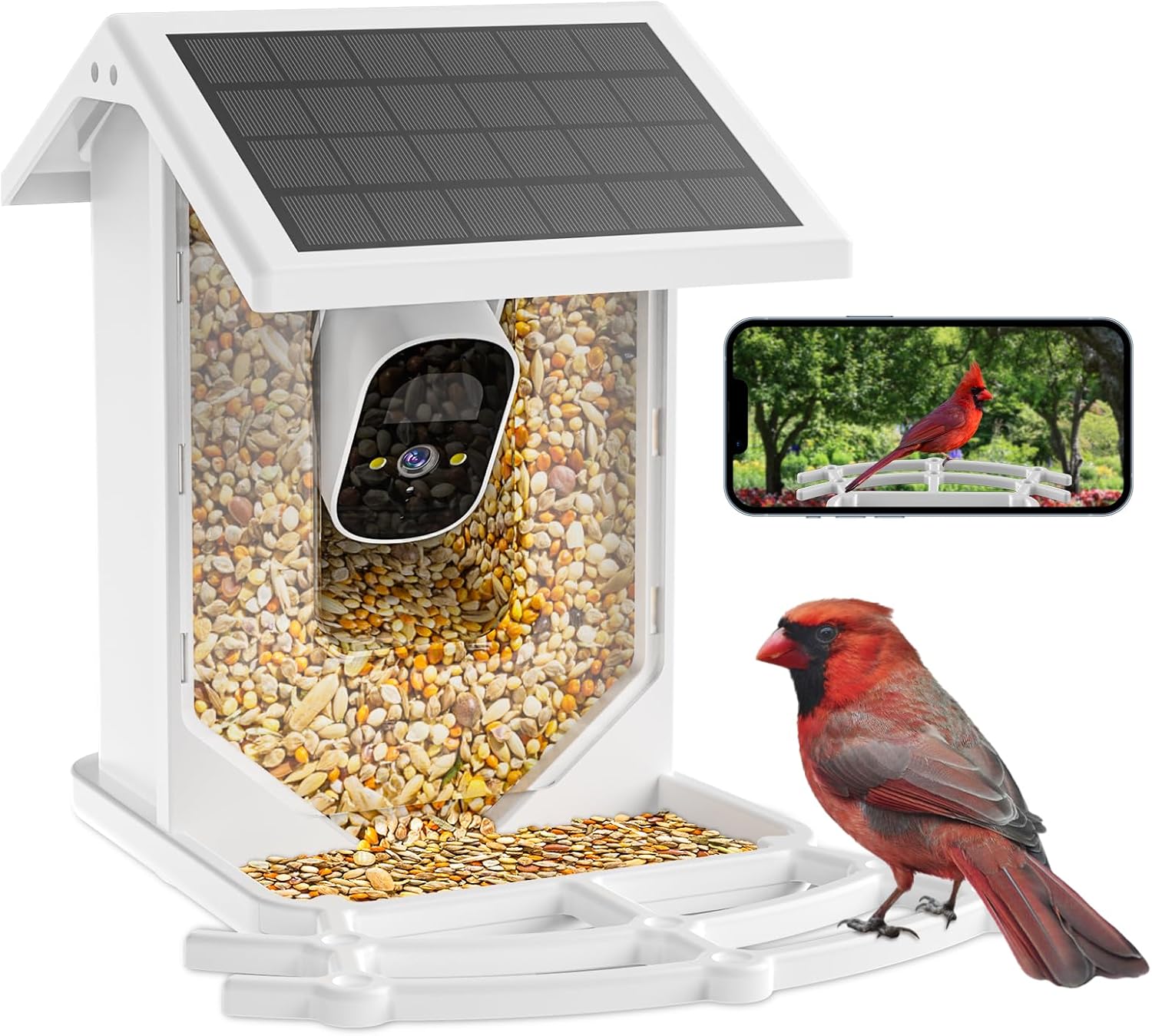 Amazon.com : Smart Bird Feeder with Camera, HD Optical Len, 1080P Free ...