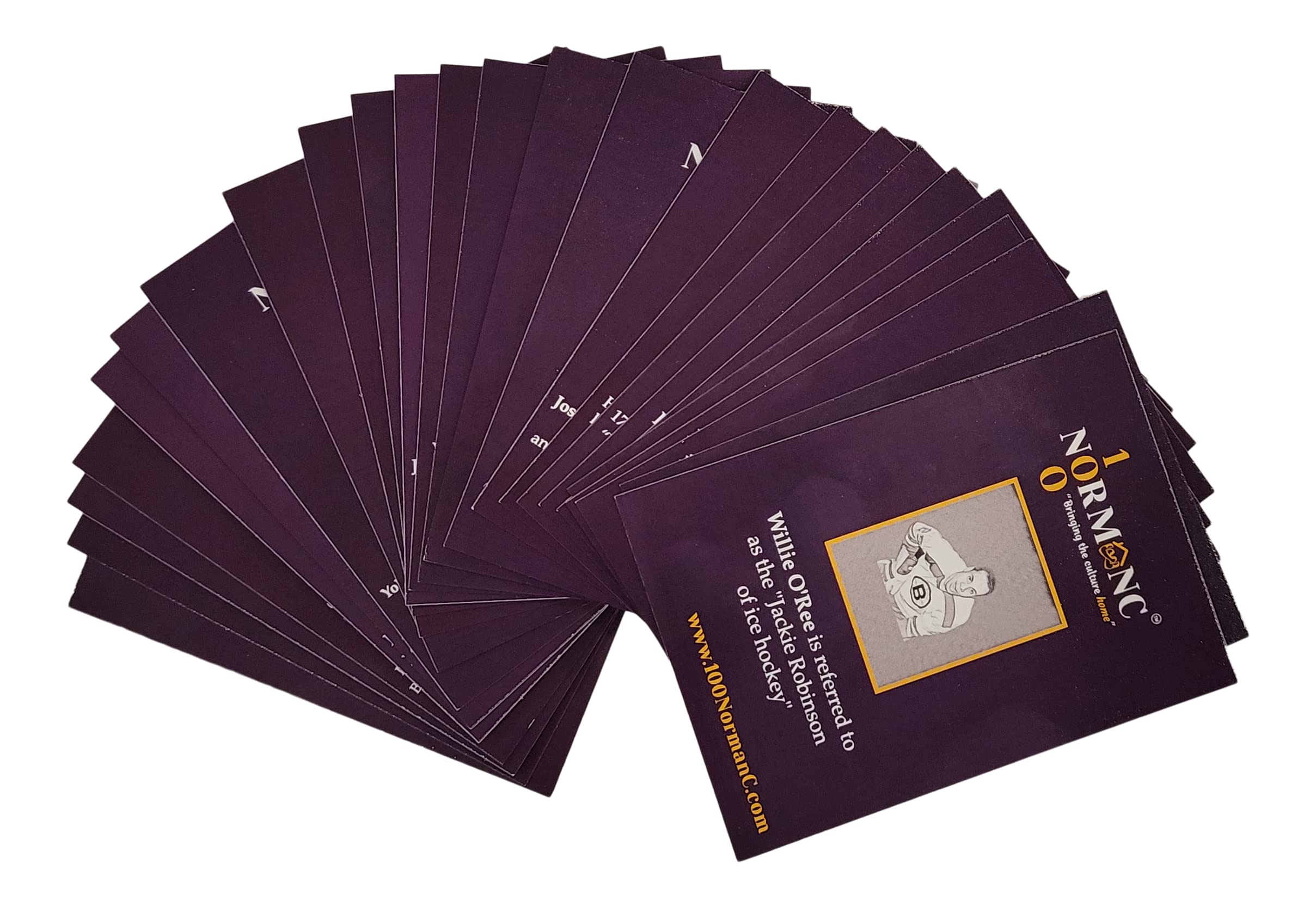 Amazon.com: Little Known Black History Facts Information Set ~ 1st ...