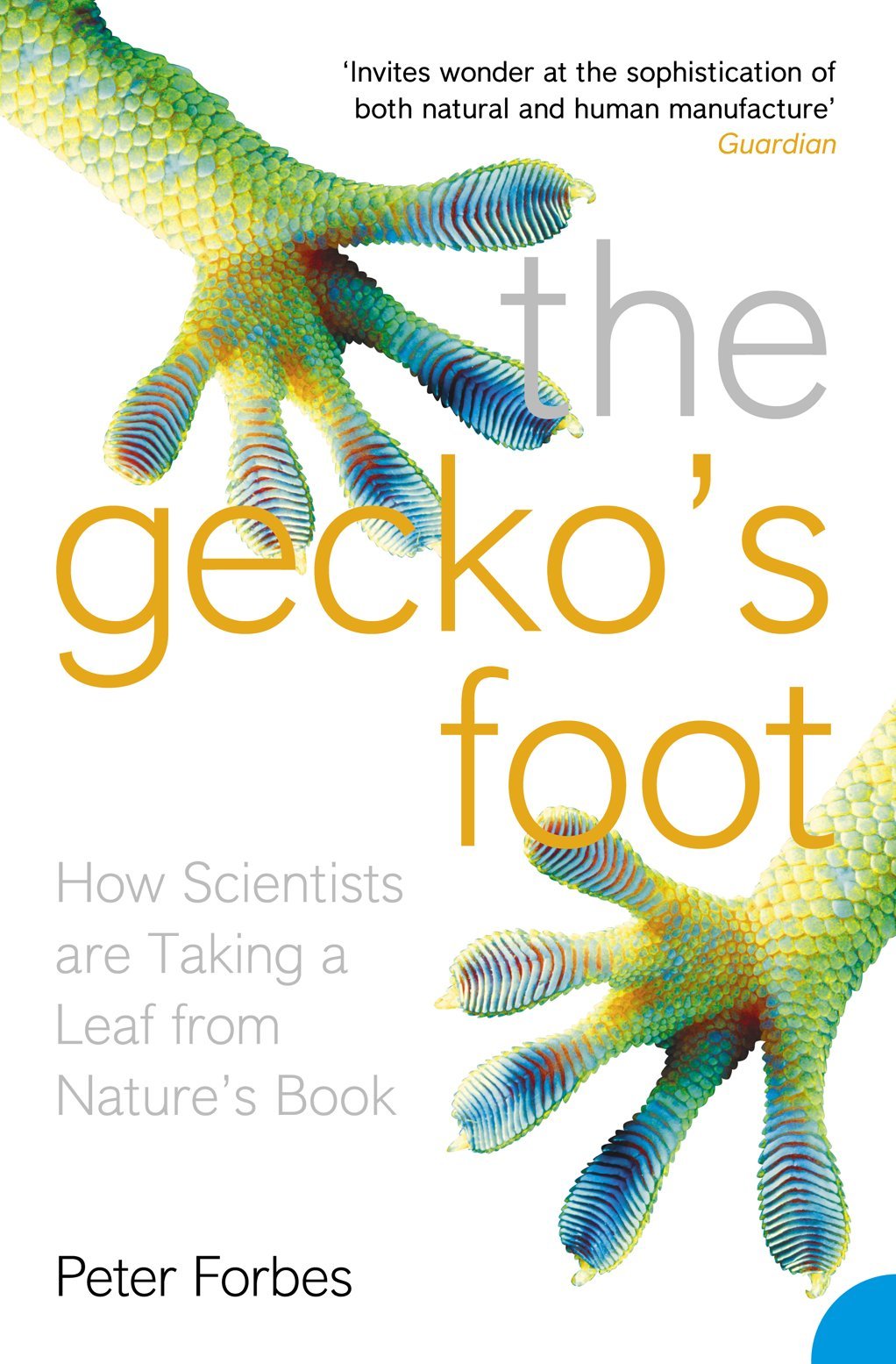 The Gecko’s Foot: How Scientists are Taking a Leaf from Nature's Book ...