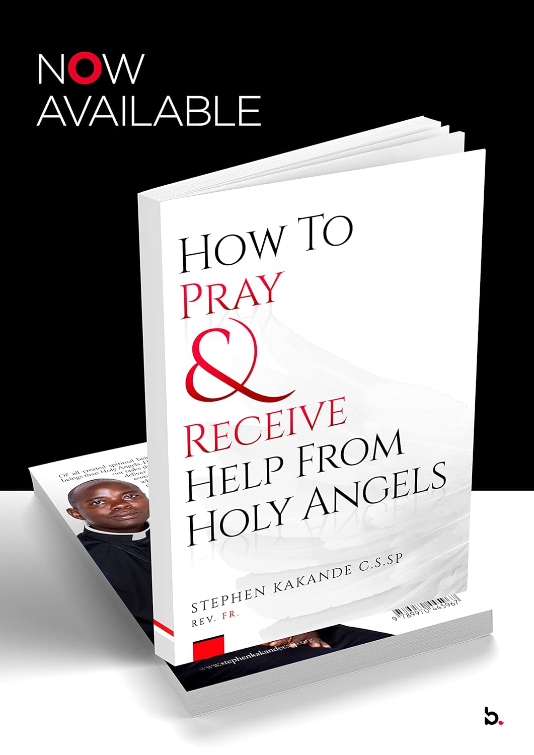 HOW TO PRAY AND RECEIVE HELP FROM HOLY ANGELS: Your personal devotion ...