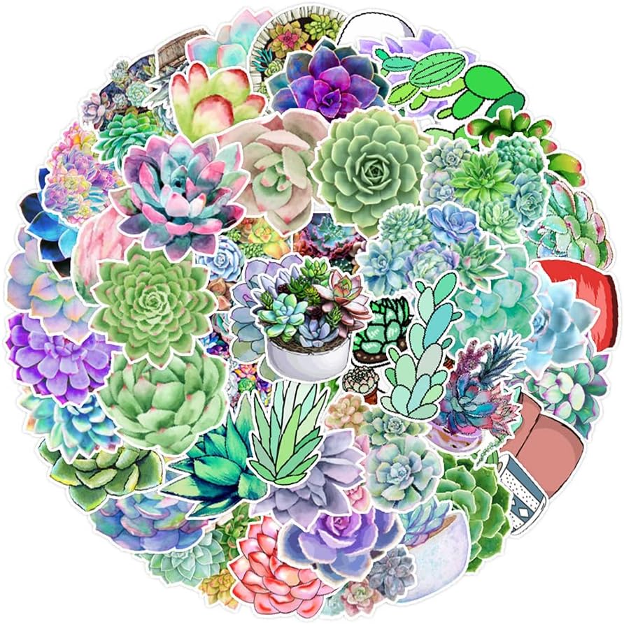 Amazon.com: Various Unique Succulent Plants Stickers for Teens Kids ...