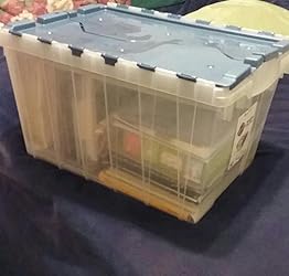 Amazon.com: Akro-Mils 12 Gallon KeepBox File Box Plastic Stackable ...