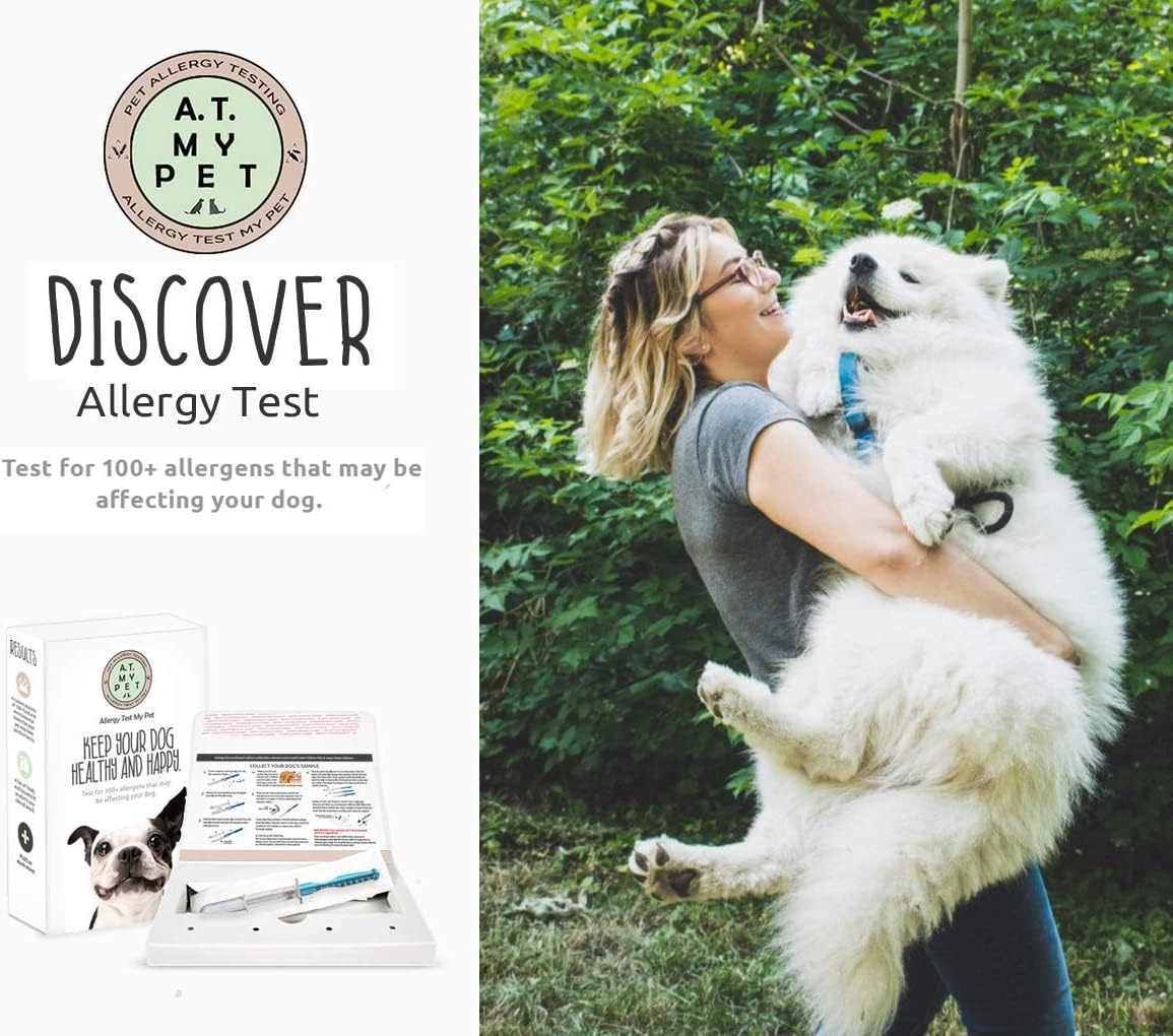 Can Dogs Get An Allergy Test