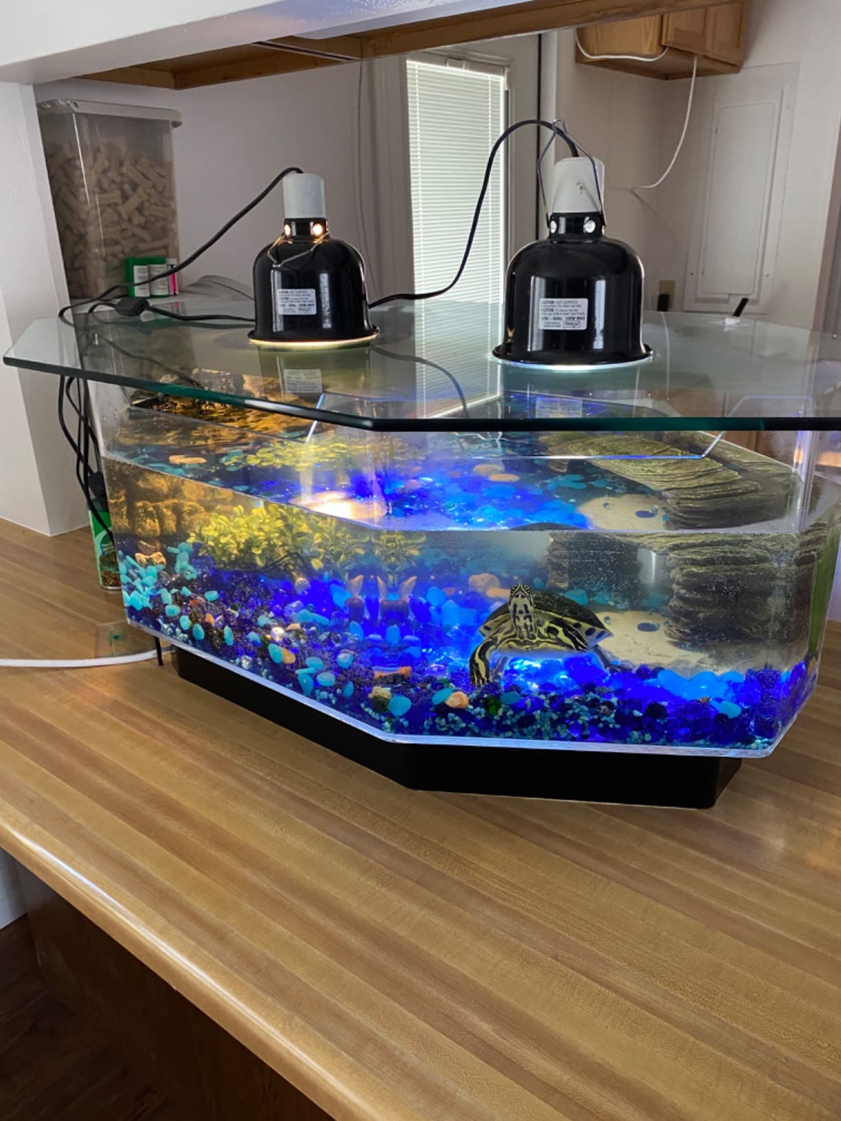 $28/mo - Finance MIDWEST TROPICAL 28 Gallon AquaTable Aquarium Octagon ...